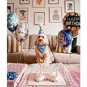 Dog Birthday Bandana, Birthday Boy Puppy Bandana for Small Medium Large Dogs Blue