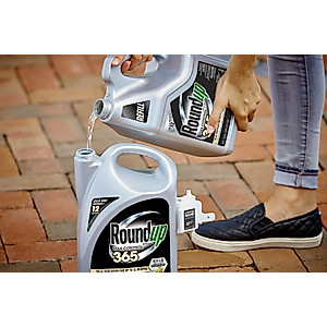 Roundup 5000710 Ready-to-Use Max Control 365 Refill, 1 Pack,