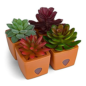 ZendoZones Fruit Fly Trap with Zendo Lure, Tranquil Tabitha with Plastic, terracotta Base, Refillable and Reusable, Long-Lasting