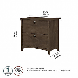 Bush Furniture Salinas Lateral File Cabinet 2 Drawer File Cabinet in Ash Brown Office Storage Filing Drawer Home Office Storage Organizer