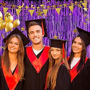 2 Pack 3.2 ft x 9.8 ft Purple Tinsel Curtain Party Backdrop Decorations, Metallic Foil Fringe Backdrop Door for Halloween, Christmas, Birthday Graduat