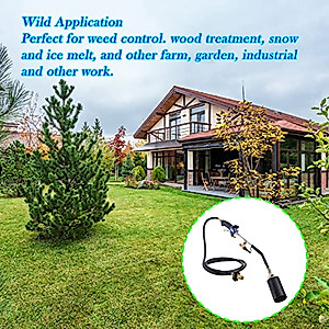 350PSI Soft Nose P.O.L Valve with 12FT Propane Torch Weed Burner Replacement Hose for Connection of Propane Tank to Propane Weed Burner Torch Head Burner