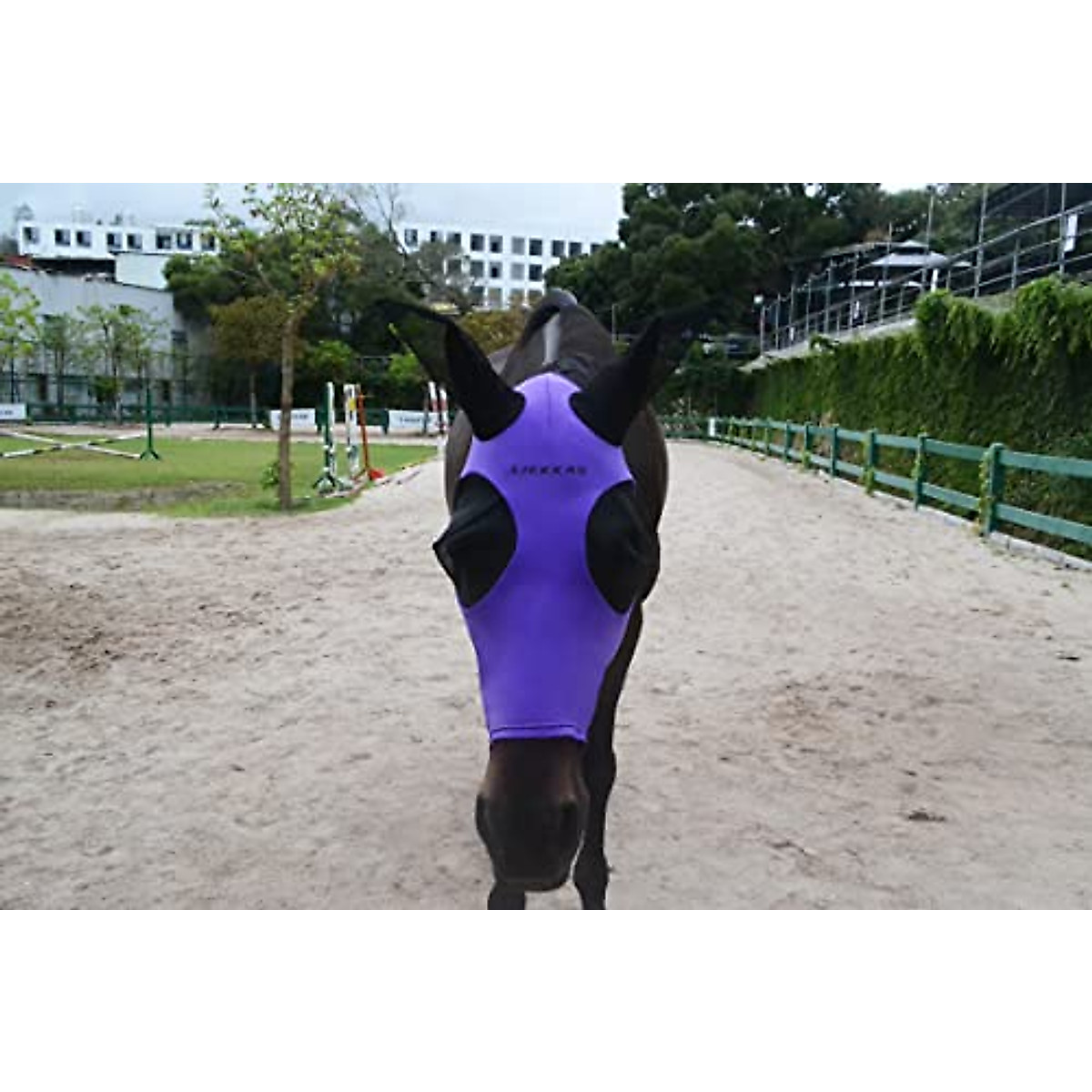 Super Comfort Horse Fly Mask Elasticity Fly Mask with Ears UV Protection for Horse(XL,Purple)