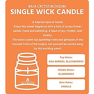 Smells - Premium Soy Wax Large Jar Scented Candle 16oz. - 100% Cotton Single Wick - Fragrance That Eliminates Home and Office Odors: Food, Pets, Smoke and Others (1-Pack, Cactus Blossom)