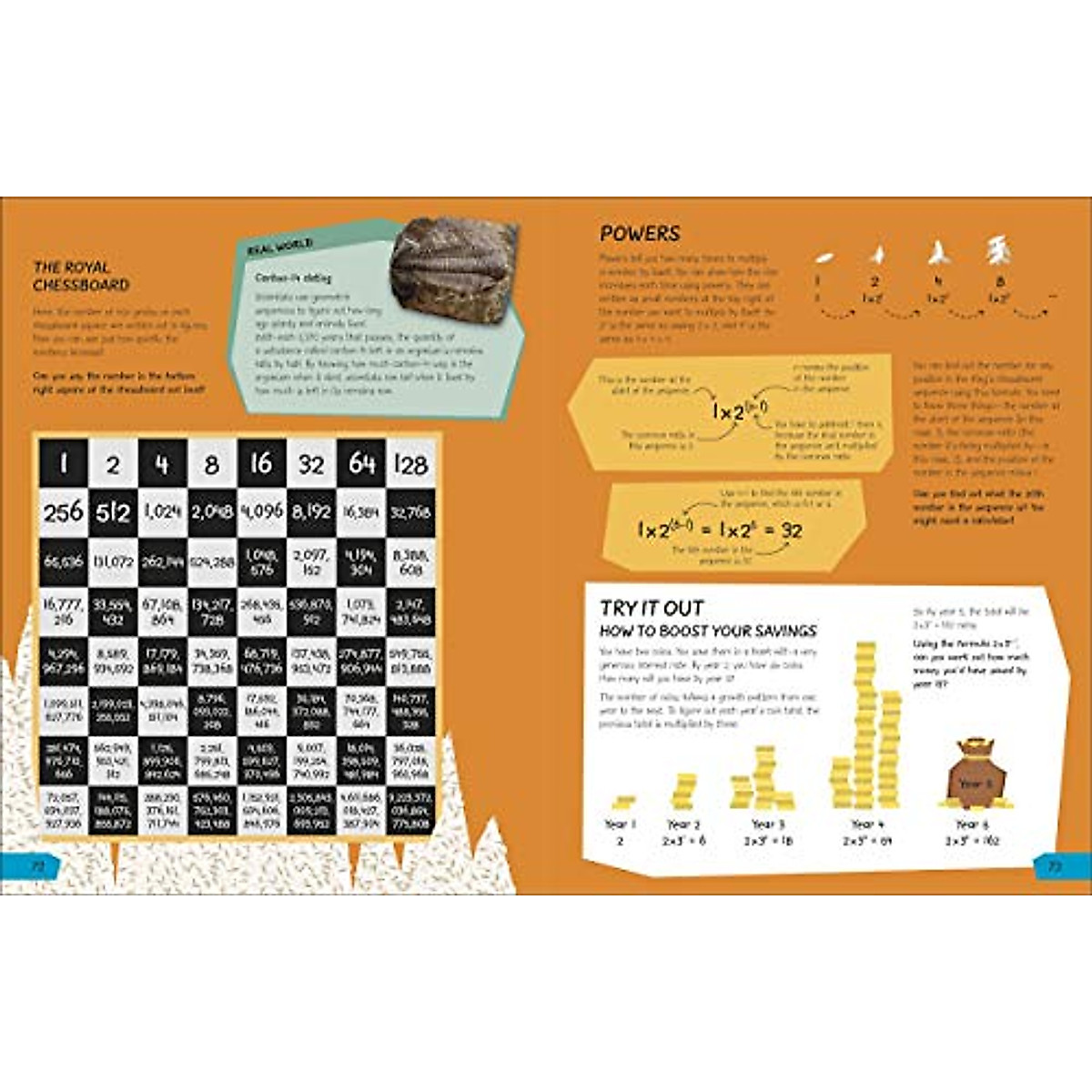 What's the Point of Math? (DK What's the Point of?)