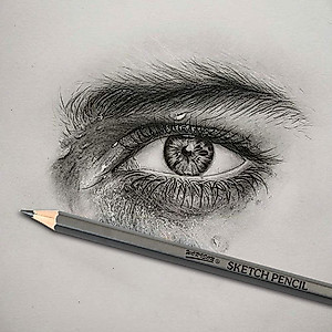 dainayw Professional Drawing Sketching Pencils Set, 24 Pieces Art Pencils (14B - 9H), Graphite Shading Pencils for Beginners & Pro Artists