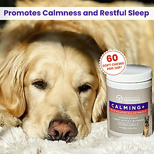 PawMedica Calming Chews for Dogs - Dog Sleep Supplement Melatonin for Dog Anxiety - Recommended Dog Calming Treats for Separation Anxiety and Barking Stress - Dog Melatonin Calming Bites for Fireworks
