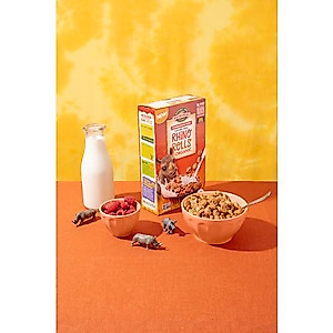 EnviroKidz Rhino Rolls Organic Cinnamon Bun Cereal,9.5 Ounce,Gluten Free,Non-GMO,EnviroKidz by Nature's Path