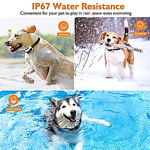 HEXIEDEN Wireless Electric Dog Fence,Pets Dog Boundary Containment Fence System,with Waterproof Rechargeable Training Collar Receiver,Adjustable Range Sizes,Harmless for Dogs,for 1 2 3 Dogs,for2dogs