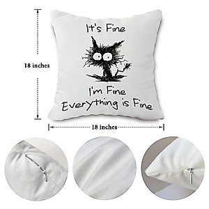 Inspirational Quotes Throw Pillow Cover, Everything is Fine Sofa Home Bed Decor Study Black Cat Couch Case, 18 x 18 Inches Pillowcase Gift for School Office Bedroom Living Room Reading Room -13