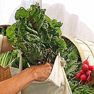 Simple Ecology Reusable Grocery Produce Shopping and Storage Bags, Organic Cotton Muslin, Set of 6 (2 ea. of L, M, S)