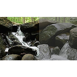 Panasonic DMW-SFU1-VLOG Lumix V-Log L Function Firmware Upgrade Kit, USA Model Version,Black