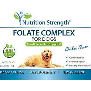 Nutrition Strength Folate for Dogs to Promote Cardiovascular & Prenatal Health, Support DNA Synthesis & Cell Maintenance, Folic Acid for Dogs with Zinc, Biotin, Iron & Vitamin B12, 120 Soft Chews