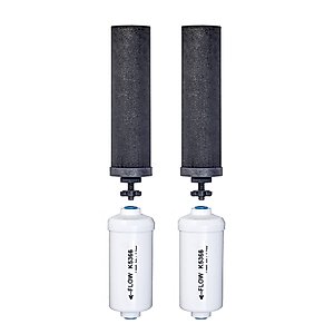Set of 2 Berkey Authentic Black Berkey Elements (BB9-2) and 2 Berkey PF-2 Fluoride and Arsenic Reduction Elements - Combo Pack