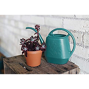 Bloem 100532979 AW21-31 56 oz Deep Sea Aqua Rite Watering Can, 1/2 Gal