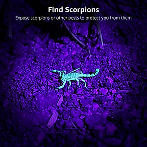 Lighting EVER Black Light Flashlight, Small UV Lights 395nm, Portable Ultraviolet Light Detector for Invisible Ink Pens, Dog Cat Pet Urine Stain, AAA Batteries Included