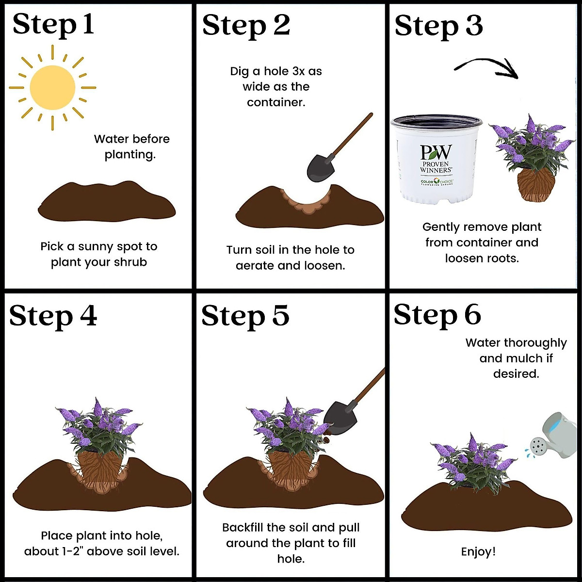 2 Gal. Pugster Ameythst Buddleia Shrub