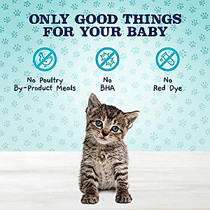 Blue Buffalo Baby BLUE Kitten Crunchies Grain Free, Natural Kitten Treats, Savory Salmon 2-oz Bag