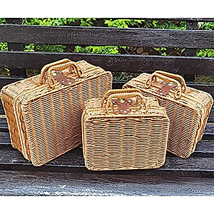 yidexin Seagrass Baskets Wicker, Artificial Rattan Storage Box, Rattan Suitcase Woven Artificial Wooden Leather Look Strap, Lock Organizer Storage, 29.52112 CM