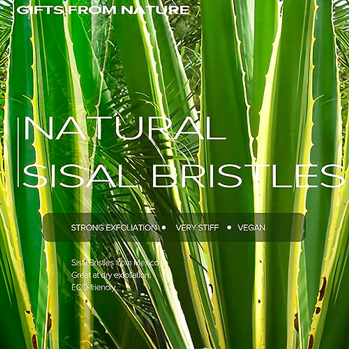 ICANdOIT Stiff Sisal Bristles 2 in 1 Long Handle Bath&Shower Brush,Bath Scrubber with Pumice Stone,Exfoliate&Soften Skin,Dry Brushing Body Brush for Cellulite&Lymphatic Drainage,Reduce ingrown Hairs