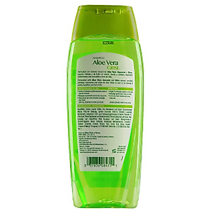 Grisi Aloe Vera Shampoo, Moisturizing Shampoo with Aloe Vera Extract, Paraben-Free, Hair Product for Soft and Shiny Hair, 2-Pack of 13.5 FL Oz each, 2 Bottles