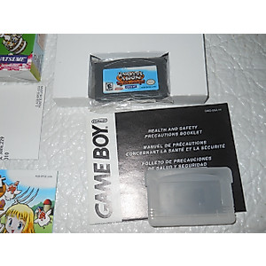 Harvest Moon More Friends of Mineral Town