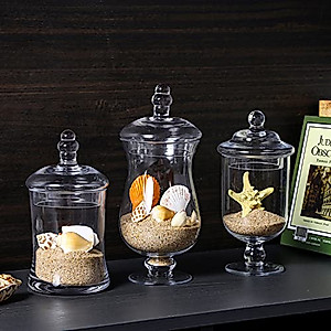 MyGift Clear Glass Apothecary Jars with Lid, Decorative Footed Vase, Candy Buffet Containers, Set of 3