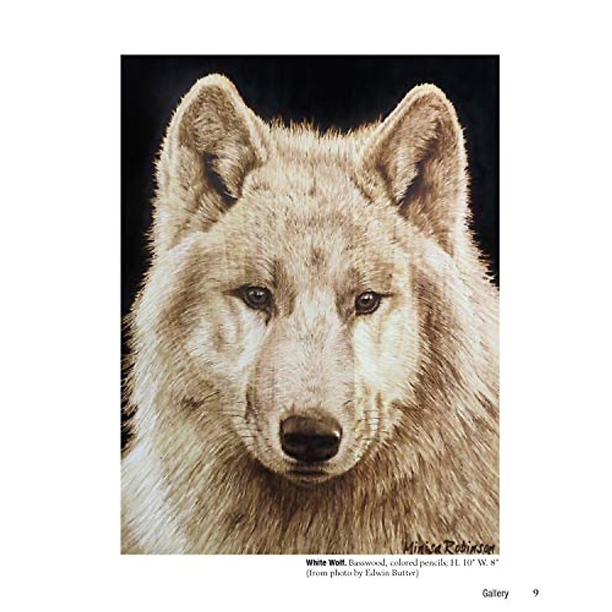 Woodburning Realistic Animals: 12 Step-by-Step Pyrography Projects of Birds, Pets, and Wildlife (Fox Chapel Publishing) Tutorials for Eyes, Fur, Manes, & Whiskers; Projects for Big Cats, Owls, & More