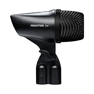 AKG Pro Audio P2 High-Performance Dynamic Bass Microphone, Black