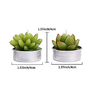 12 Pcs Cactus Tealight Candles Delicate Succulent Cactus Candles for Valentine's Day Birthday Party Wedding Spa Home Decoration Gifts