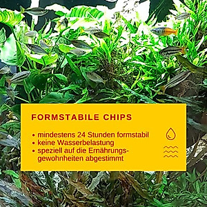 Sera 508 Catfish Chips 13.4 oz 1.000 ml Pet Food, One Size