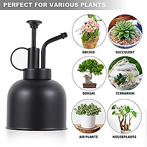 Plant Mister Spray Bottle, Metal Stainless Steel Plant Sprayer Mister, Small Watering Can Plant Spritzer with Top Pump for Indoor House Air Plants Succulents Outdoor Garden Decorative(Matte Black)