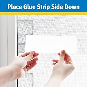 Raid Window Fly Trap, 4 Count (Pack of 3)