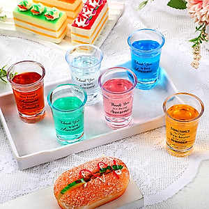 Karenhi 24 Pcs Thank You for Being Awesome Shot Glasses 1.2 Ounce Acrylic Shots Glass for Adults Thank You Gifts Inspirational Encouragement Christmas Gift for Teacher Employee Women Friends