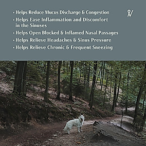 2024 Everpath Upgraded Sinus Support for Dogs - 2 Fluid Ounces/60mls | USA Made | Supports Sinus Health and Relief | Relief for Allergies, Congestion & Acute Sinusitis | Natural Solution for Pets