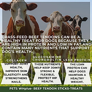 PETS WHplus Beef Tendon Sticks for Dogs,100% Natural Dog Treats, 4 oz (113g) Pack, Chews for Dogs, Mixed Lenght Varies 4-7 inches, Grass -Feed Beef-Dental Dog Chews, High in Protein & Collagen.