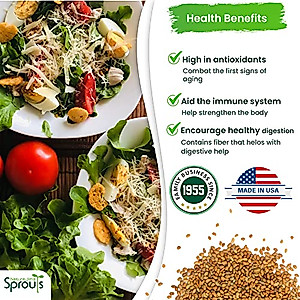 Nature Jims Sprouts Salad Sprout Mix - Organic Salad Mix for Growing - Non-GMO Microgreen Seeds - Healthy Broccoli, Alfalfa, Radish, Clover Sprouting Seeds Variety Mix - Microgreens Growing 1lb