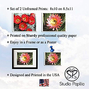 Studio Papilia Poster Set Wall Art | Zion Narrows Golden Glow | Jade Pool | 2 Unframed Nature Prints | Pictures for Room, Home, Living, Kitchen, Bedroom, Office | Photo Décor