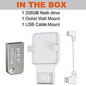 256GB Blink USB Flash Drive and Outlet Wall Mount for Blink Sync Module 2, Space Saving for Blink Outdoor Indoor Security Camera (Blink Sync Module 2 is NOT Included)