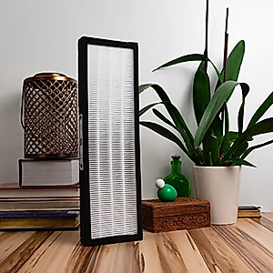 Filter Bros HEPA Filter C Replacement Fits GermGuardian FLT5000 AC5250PT AC5350B