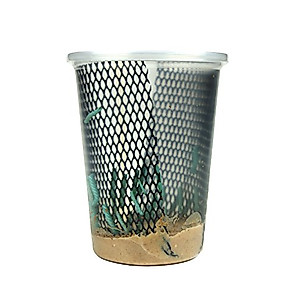 Josh's Frogs Hornworms Habitat Cup (25 Count Cup)