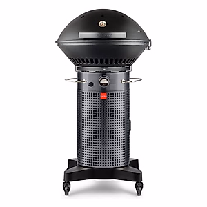 Fuego F24C Professional Propane Gas Grill