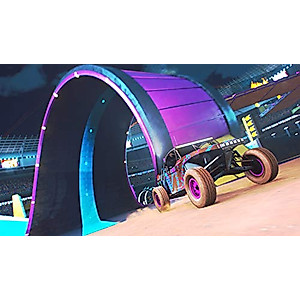 DIRT 5 Limited Edition (Playstation 4)