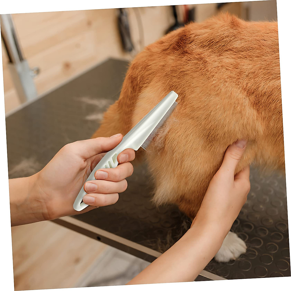 3pcs Pet Grooming Comb Set Combs Grooming Kit Dog Eye Wipes Angel Eyes for Dogs Grooming Comb Kit for Pets Tear Stain Remover Comb Cat Comb Cat Grooming Comb Dog Brush Plastic Balacoo