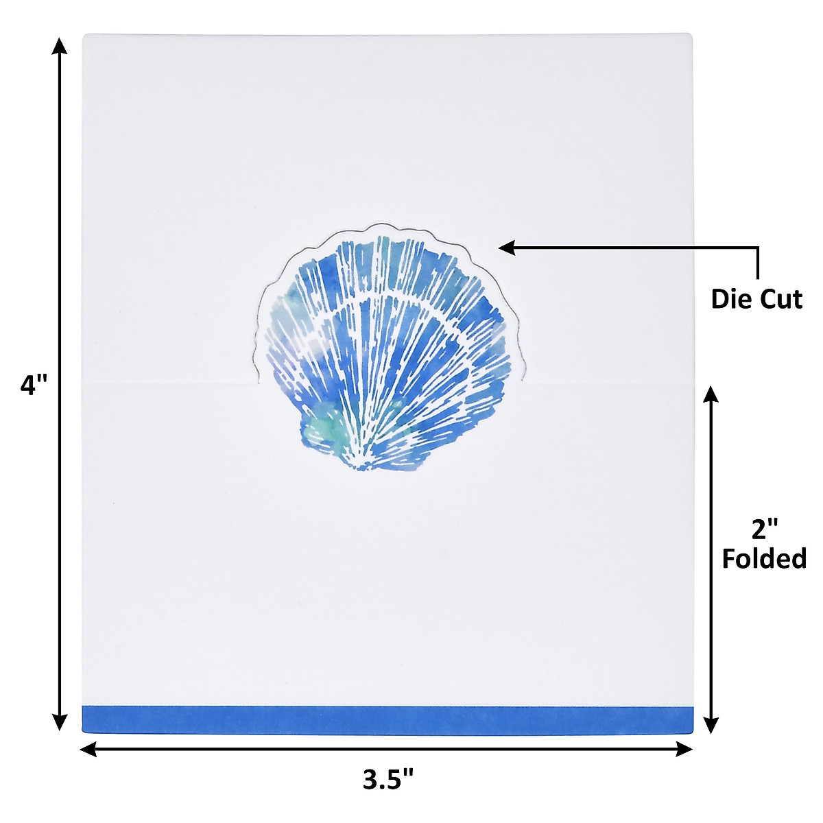 Gift Boutique 100 Pack Sea Shell Place Cards Beach Wedding Seating Name Table Setting Folded Tent Cards for Sea Shells Ocean Pool Baby Shower Dinner Spring Weddings Tables Party Decor 2 x 3.5 Inches