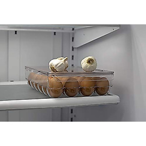 Home Basics Compartment BPA Free Plastic Extra Large Storage Stackable Refrigerator, Clear (24 Egg Holder)