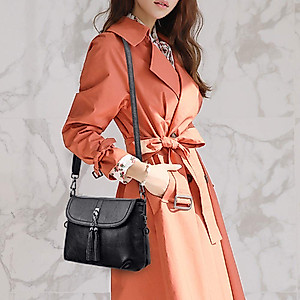 MINTEGRA Crossbody Bag for Women with Tassel Functional Shoulder Purse Saddle Messenger Bag