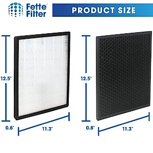 Fette Filter -HSP001 Filter Replacements for HATHASPACE Air Purifier HSP001, True HEPA Filter with Activated Carbon Pre-Filters. Includes 2 H13 True Hepa FIlters and 2 Activated Carbon Filters.