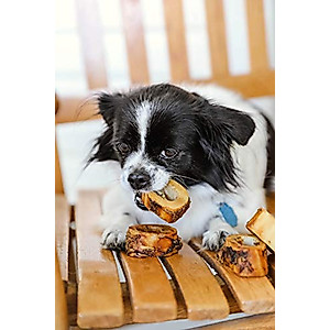 K9 Connoisseur Single Ingredient Dog Bones Made in USA for Small Breed Dogs Natural Long Lasting Marrow Filled Bone Slice Chew Treat Best for Dogs Or Puppies Up to 15 Pounds 3 Pack of 6 Slices