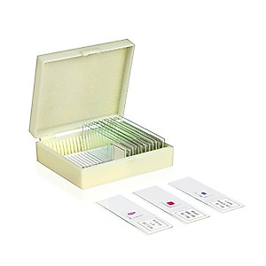 Walter Products B17126 Prepared Slide Set-Textile Fiber (Pack of 12)